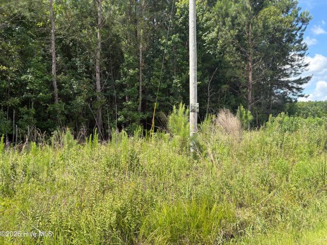 1419 Mable Spaulding Road