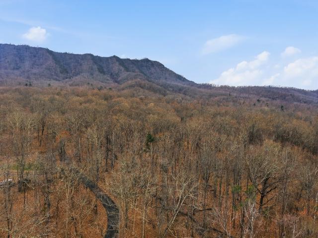 1419 Collier Loop
