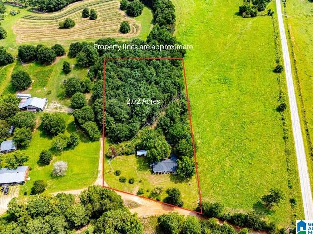 1419 County Road 480