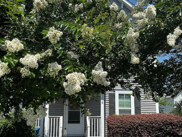 1419 King St, Wilmington, NC 28401 | MLS #100568