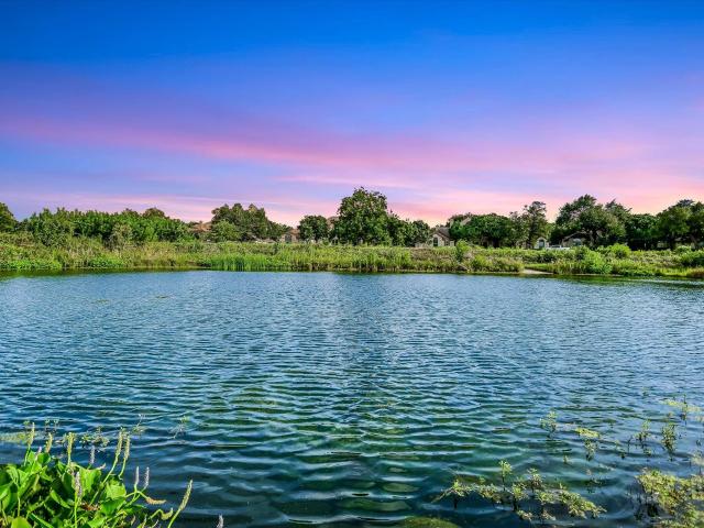 14100 Avery Ranch Blvd # 202