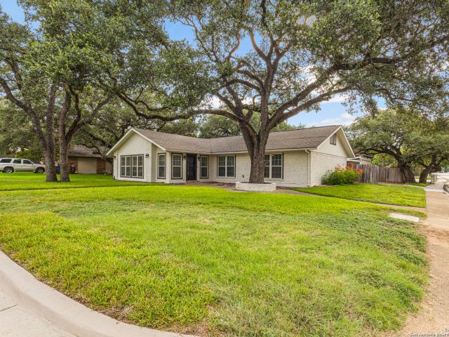 14102 Red Maple St, San Antonio, TX 78247 | MLS #1885