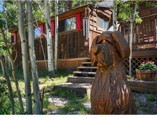 1410 Caribou Rd, Nederland, CO 80466
