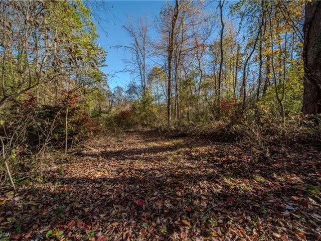 1410 Saxe Rd, Mogadore, OH 44260