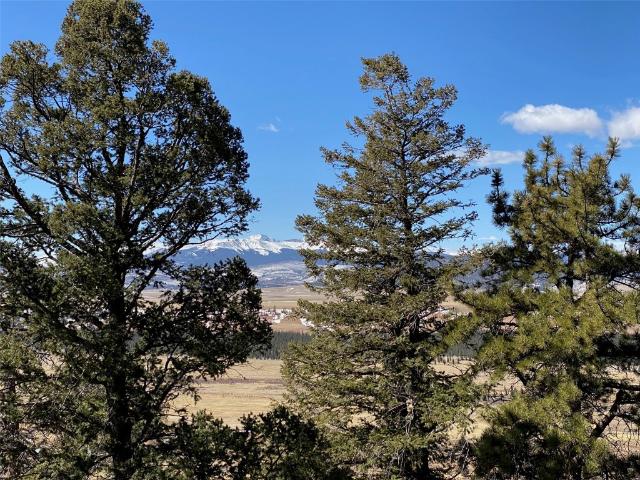 1411 Middle Fork Vista, Fairplay, CO 80440 | MLS #S1056