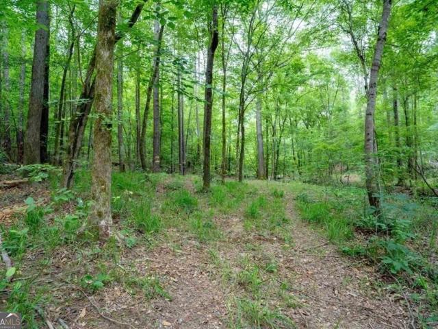 1411 Northwoods Dr, Greensboro, GA 30642 | MLS #10799