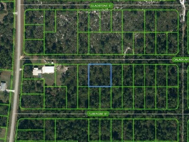 1411 caladium street, lake placid, fl 33852