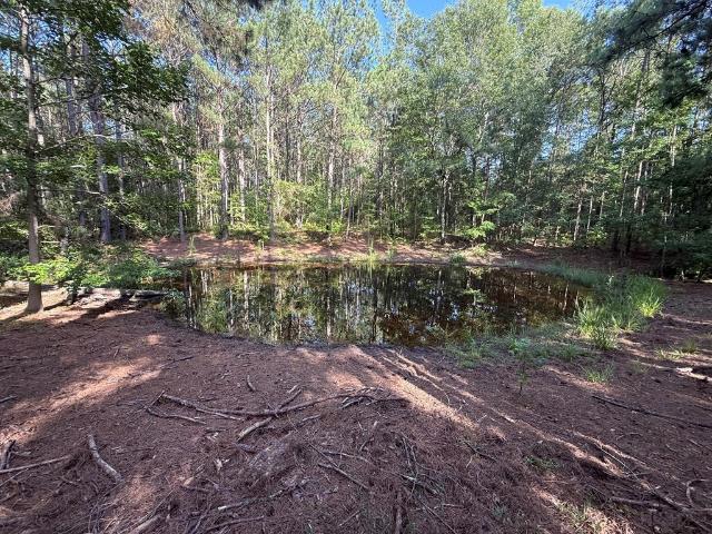 1411 County Road 41