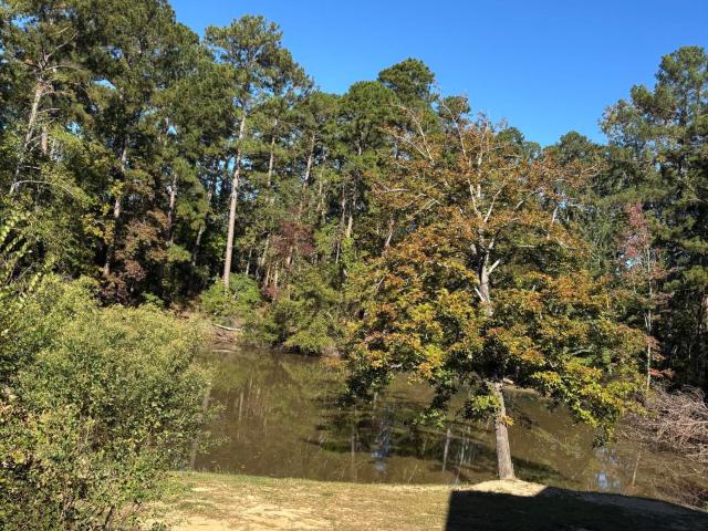 1411 Serenity Creek Drive
