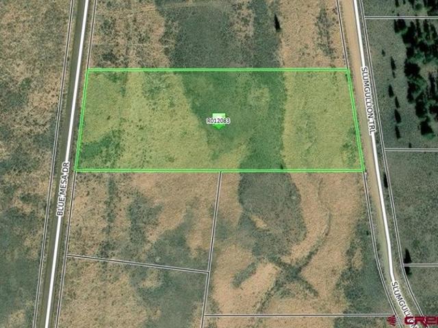 1411 Slumgullion Trl, Powderhorn, CO 81243