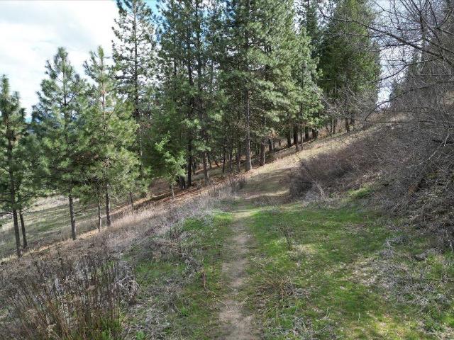 1411 W Toni Rae Dr, Spokane, WA 99218 | MLS #202612 | Compass