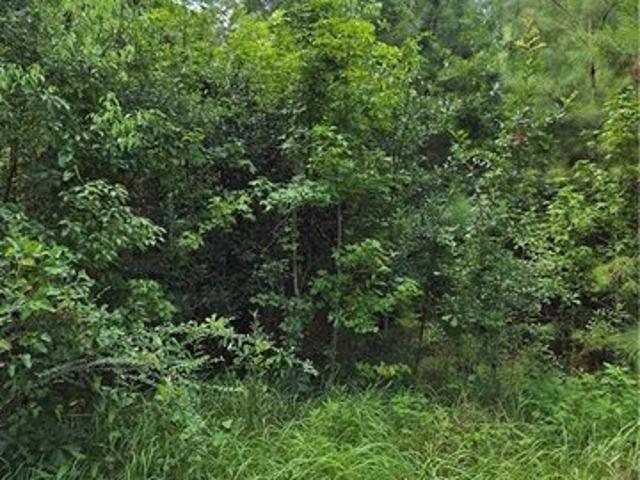 1412 Canal Rd, Mobile, AL 36605