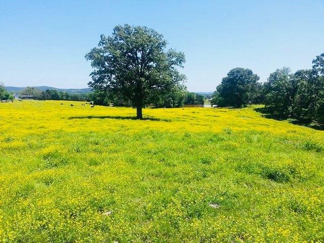 1412 County Road 2641, Lamar, AR 72846