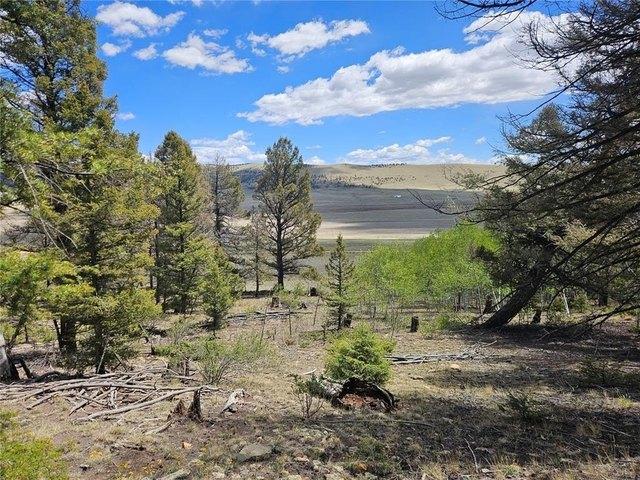 1412 Redhill Rd Lot 129, Fairplay, CO 80440