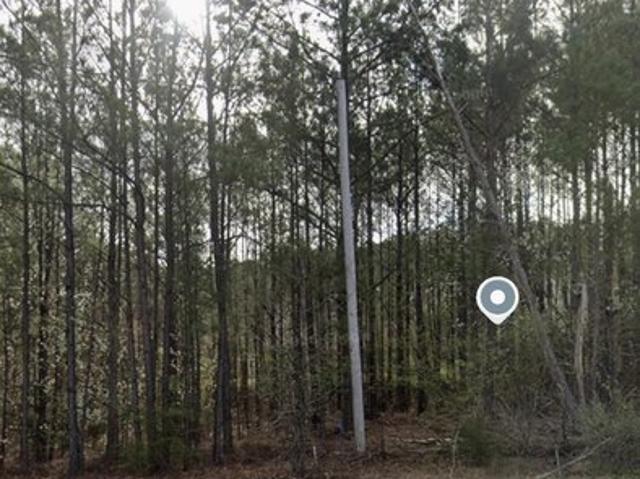 14131 Brooke Dr Lot 30, Tuscaloosa, AL 35405
