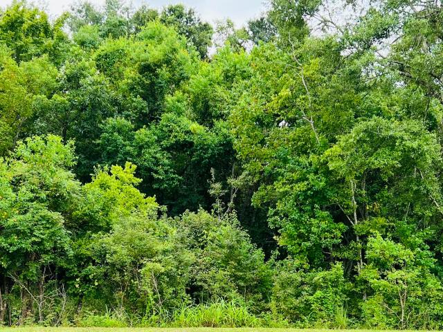 141 165 Pratt St, Martinville, LA 70582 | MLS #RA24009