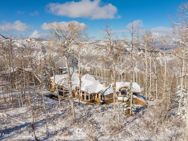 141 Baby Doe Ln, Snowmass Village, CO 81615 | MLS #191085