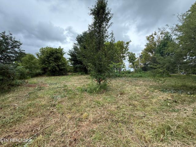 141 Butternut Ridge Rd