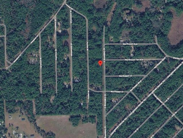 141 E Boundary Dr, Georgetown, FL 32139 | MLS #K4903