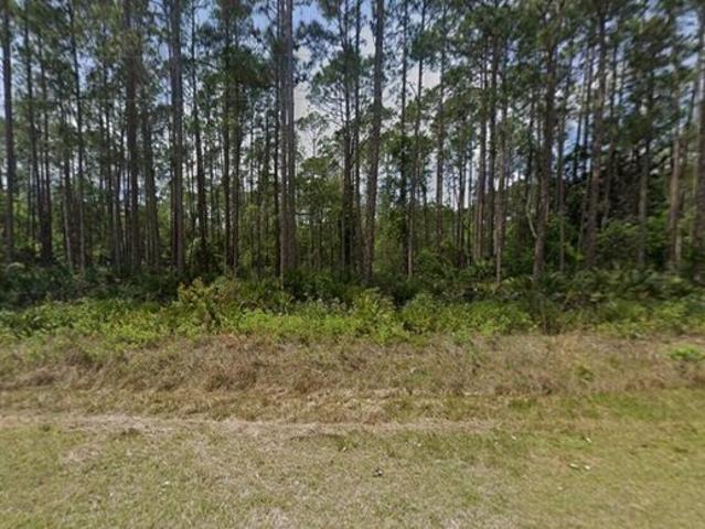 141 E Boundary Dr, Georgetown, FL 32139