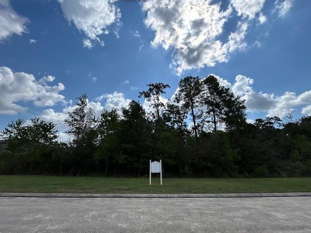 141 Kings Lake Estates Boulevard