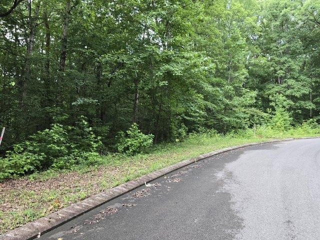 141 Lower Brow Rd, Dunlap, TN 37327