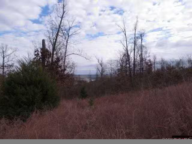 141 Lake Cove, Yellville, AR 72687 653280376