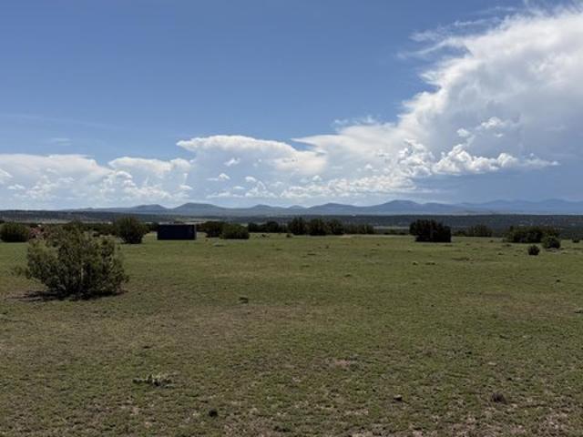 141 N8515, Concho, AZ 85924