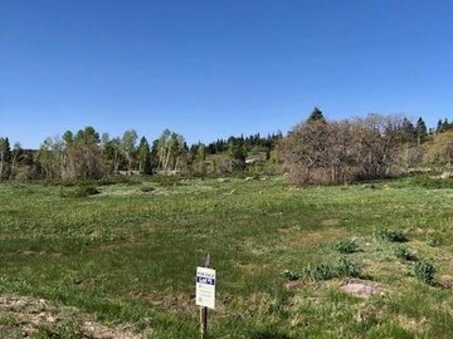 141 N Spring Dr Unit 1, Kolob, UT 84767