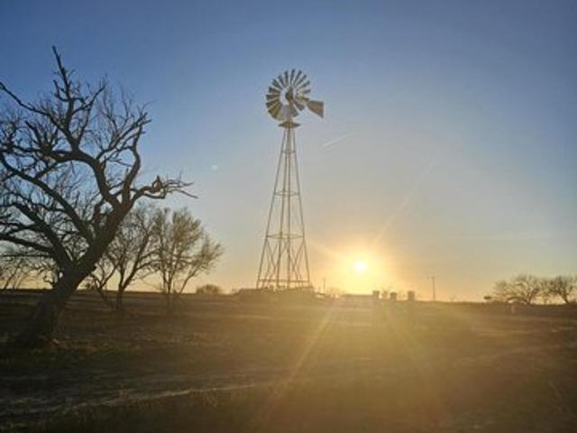 141 Sylashayes Loop Lot 29, Pleasanton, TX 78064