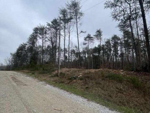 141 Pine Tree Circle