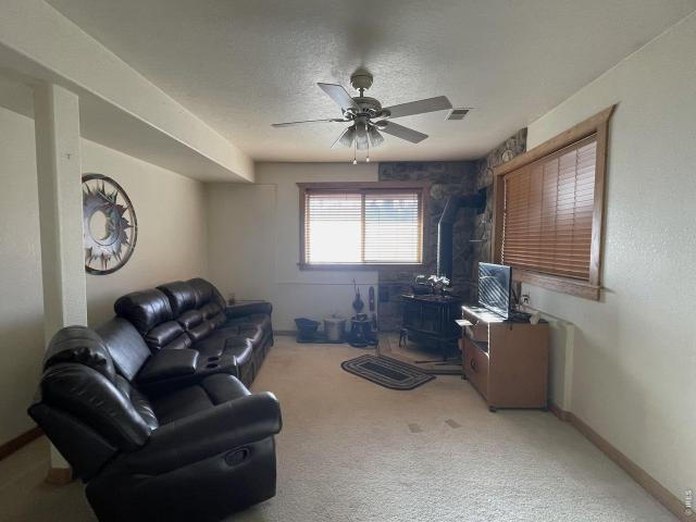 141 Tami Rd, Red Feather Lakes, CO 80545 | MLS #1055