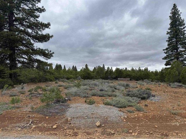 141 Village Dr, Lake Almanor, CA 96137