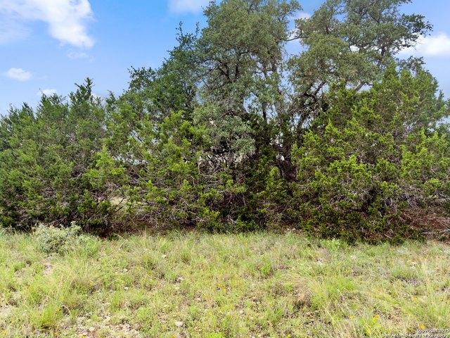 141 Vista View Pl Lot 2214, Spring Branch, TX 78070