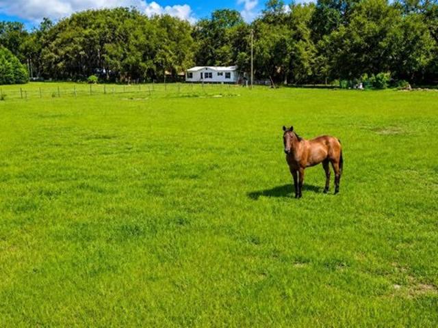 14240 SR 471, Webster, FL 33597