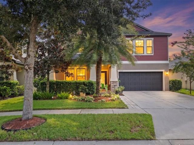 14242 Blue Dasher Dr, Riverview, FL 33569