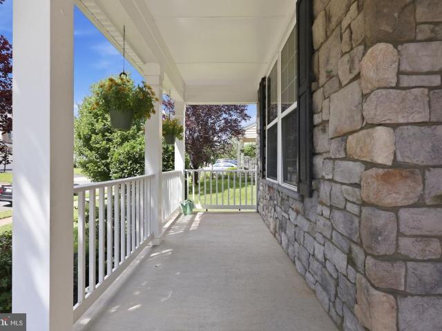 14246 Ladderbacked Drive