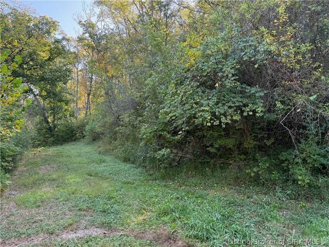 14246 North Branch Road
