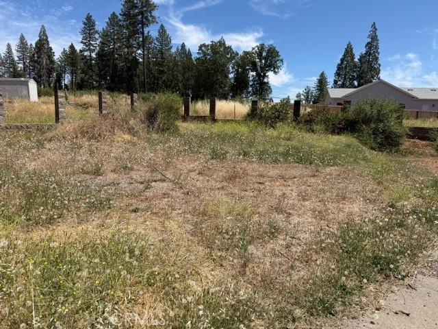 14249 Sherwood