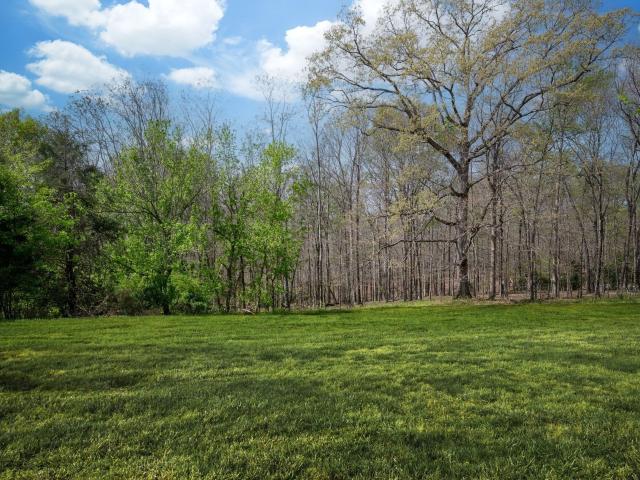 1424 East Piney Road