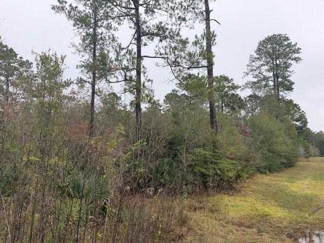14255 Gray Road