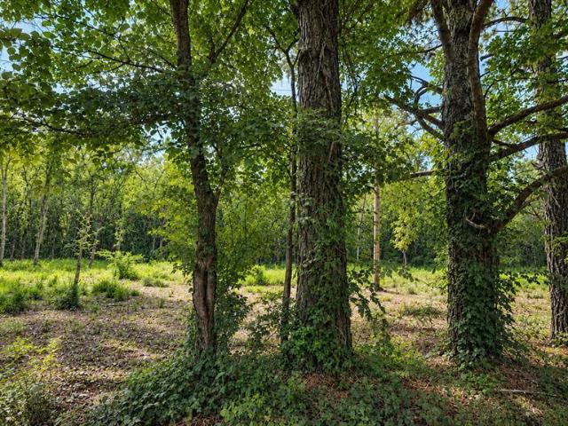 1425 Firefly Lane