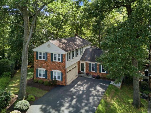 1426 Fallswood
