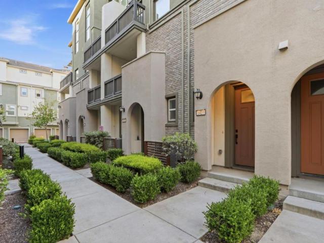 1427 Lavender Loop