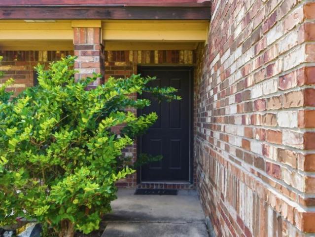 1427 Prairie Grass
