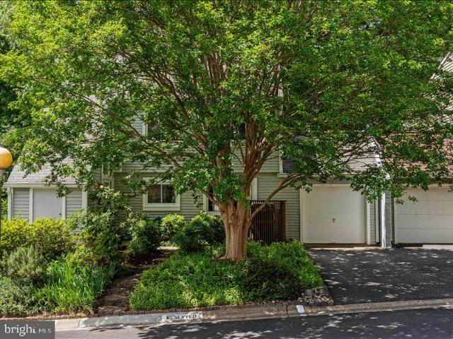 1428 Yellowwood Court