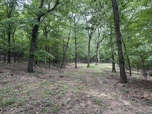 14295 Blue Mountain Rd, Prairie Grove, AR 72753