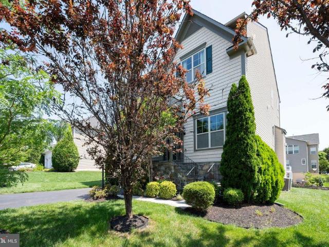 14298 Ladderbacked Drive