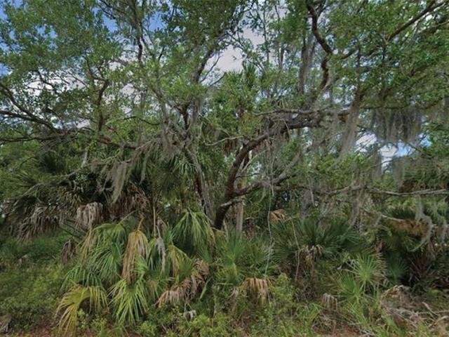 14202 Brisk Ave, Port Charlotte, FL 33953