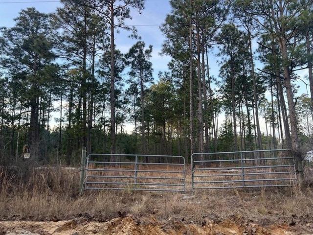 1420 Martin Smith Rd, Gilbert, SC 29054